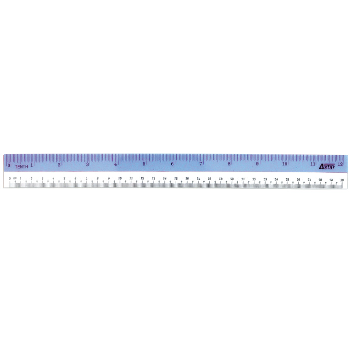 plastic ruler 12